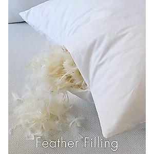 Plankroad Home Décor 15x21 Hypoallergenic Luxury 100% Small Feather Rectangular Pillow Insert, 100% Cambric Cotton Shell, Never Vacuum-Packed, Odorless, Made in USA, Set of 2