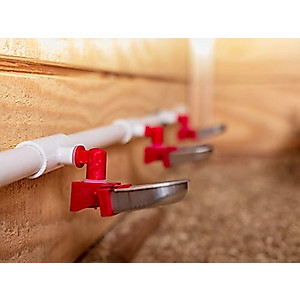 RentACoop DIY Small Animal Watering Metal Cups KIT for Small Animals/Pet/Bunny/Ferret/Chicken/Hamster/Guinea Pig/Rabbit/Chinchilla/Mouse/Rat