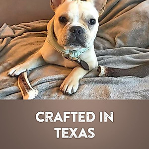 WhiteTail Naturals - Antlers for Small Dogs (6 Pack) Deer Antler Dog Chew Bones for Small to Medium Aggressive Chewers - Long Lasting Horn Chew Toys - Naturally Shed