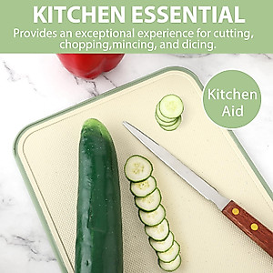 COMNICO Cutting Board Classic Thick Small Plastic Non Slip Reversible Kitchen Chopping Block Dishwasher- Safe With Handle Groove for Meat Vegetables, 12.60×8.46 Inches, White