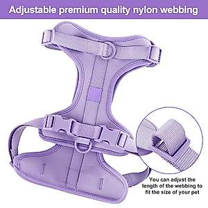 No Pull Lightweight Dog Harness: Adjustable Durable Breathable Mesh Pet Vest Harness with Soft & Comfortable Cushion, for Small Medium Large Dogs (S, Lilac)