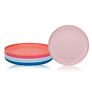 Durable and Reusable 9.75-inch Colored Plastic Dinner Plates set for Parties, Set of 6, Dishwasher Safe, BPA Free