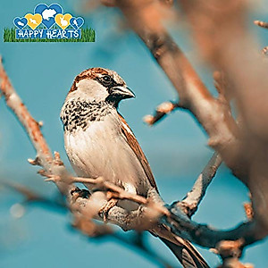 Happy Hearts Total Blend Finch Food (2 Pounds)