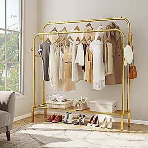 JOISCOPE Double Rods Portable Garment Rack for Hanging clothes, 43.5 * 60.6 Inch Metal Clothing Rack with Bottom Shelves and 4 Hooks,Freestanding Clothes Rack for Bedroom,Space Saving, Gold