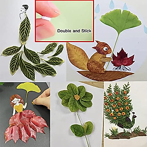 monochef 2400pcs Foam Dots Dual Adhesive 3D Foam Tape Double Sided Pop Up Glue Dots Sticky Ball Tape Mount for Crafts DIY Art Office Supplies Round 0.24 Inch