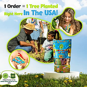 Biodegradable Kids Flossers - Fluoride & Plastic Free | Eco Friendly Dental Floss Picks for Childrens Teeth | Natural Fun Animal Flossing Sticks for Toddlers | Organic & Compostable (200 Pack, Mint)