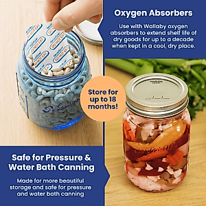 Wallaby 16oz Regular Mouth Pink Mason Jars with Lid & Seal Bands - Airtight Glass Container for Canning, Pickling, Food Storage, Candles, Home Decor, Overnight Oats, Fruit, Jam, Jelly or DIY (4-Pack)