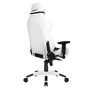 AKRacing Masters Series Premium Gaming Chair with High Backrest, Recliner, Swivel, Tilt, Rocker and Seat Height Adjustment Mechanisms with 5/10 Warranty