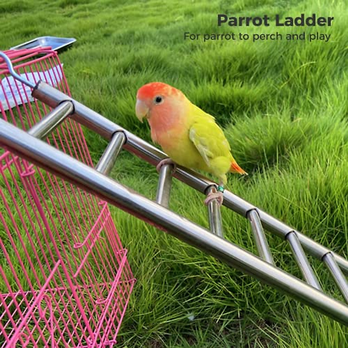 GEKMOR Parrot Ladder 9-Step Stainless Steel Rustproof Metal Nonskid Smooth Portable Bird Cage Ladder with Hooks Cockatiel Stand Ladder for Parrots Parakeets Cockatoos Lovebirds
