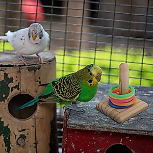 POPETPOP Bird Parrot Toy Bird Ring Toss Game Parrot Training Toys Bird Beak Trim Toys Bird Chewing Toys for Macaws African Grey Cockatoos