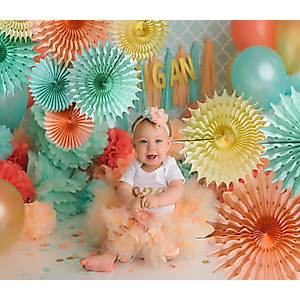 Boho Rainbow Party Decorations/Mint Peach Birthday Party Decorations/Mint Peach Baby Shower Decorations/7pcs Tissue Paper Fan Flower/Mint Peach Wedding Bridal Shower/