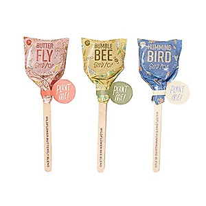 Modern Sprout Seed Lollipops, Garden Seed Packet, Indoor Garden or Outdoor Plants , Organic Seeds, Perrenial Wildflower Mix, 10 Pack