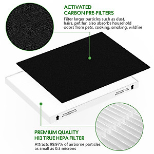 CFKREYA 2 Pack True HEPA Replacement Filters 9287101 Compatible with Fellows Aeramax 190, 200 and DB55/DX55 Purifier, 2 HEPA Filters & 6 Extra Carbon Pre-Filters.