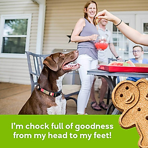 Buddy Biscuits Cloud Star, Roasted Chicken, 16 Ounce