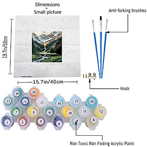 eniref Paint by Numbers for Adults, Drawing On Canvas Paintwork with Paintbrushes Acrylic Paints,Without Frame DIY Succulent Plants Oil Painting for Home Wall Decoration16x20 Inch