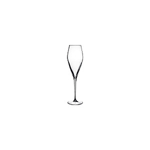 Luigi Bormioli - 08748/07 Luigi Bormioli Atelier 9.25 oz Champagne Glasses, Set of 6, Clear