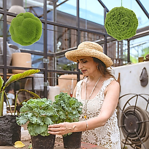 SEWACC 2pcs Green Artificial Balls Decorative Rocks Topiary Ball Green Covered Stones Vase Bowl Filler for Floral Arrangements Wedding Party Table Decor