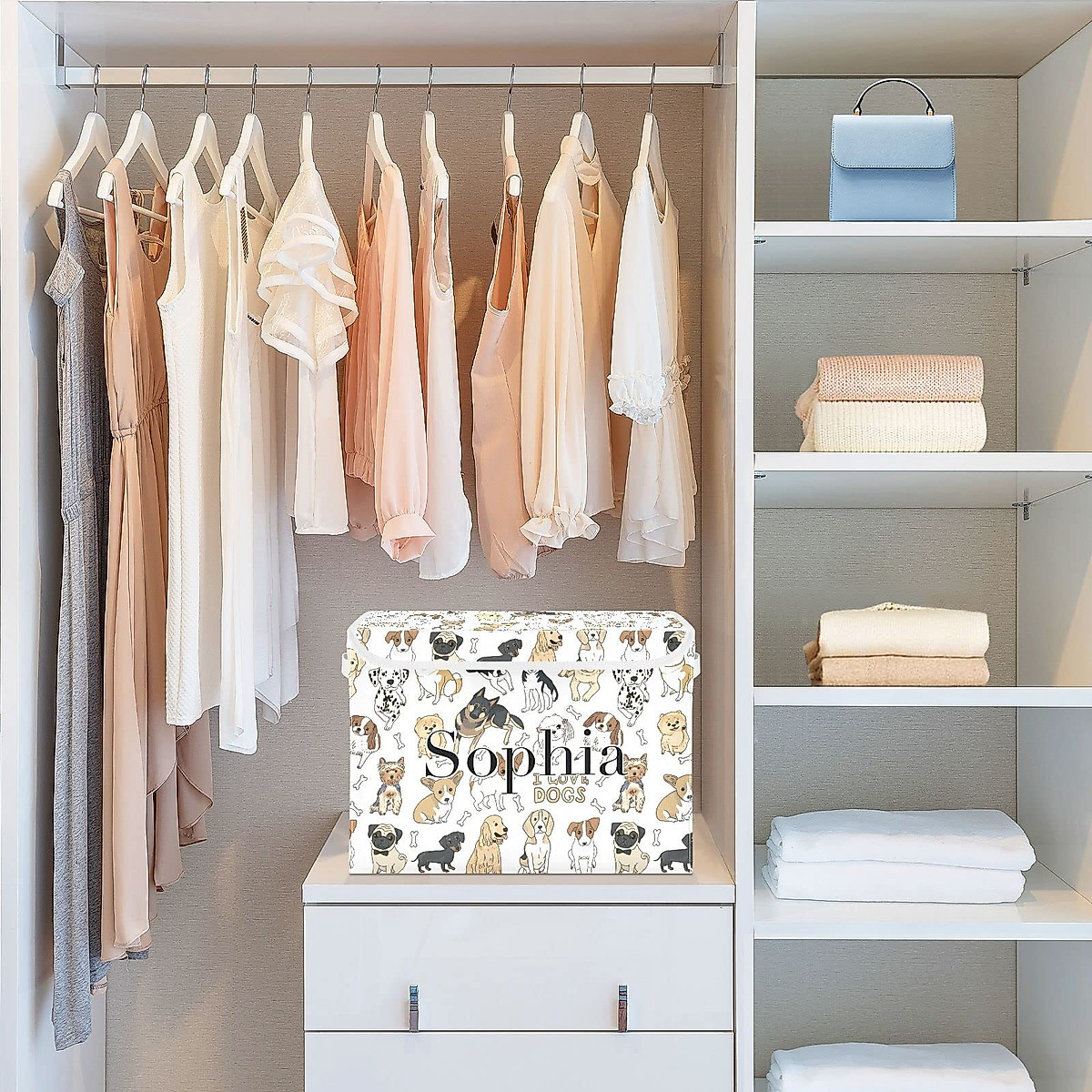 Vnurnrn Dogs Personalized Large Storage Bins with Lids Collapsible Closet Organizer Shelf Baskets for Office Bedroom Home Toys