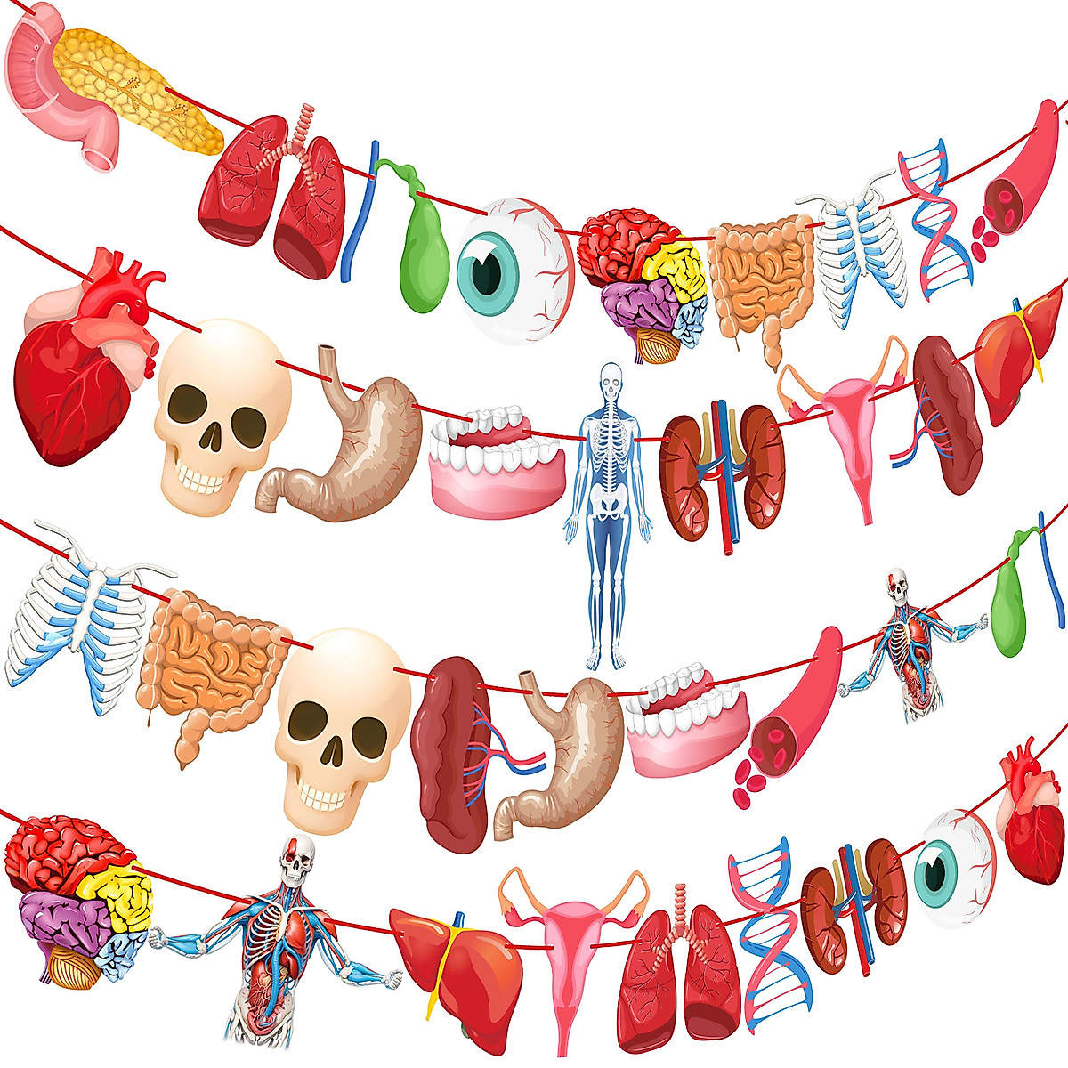 4pcs Human Anatomy Body Part Theme Banners Human Anatomy Party Decorations Body Part Party Supplies for Doctors Birthday Party Nurse Graduation Party Supplies