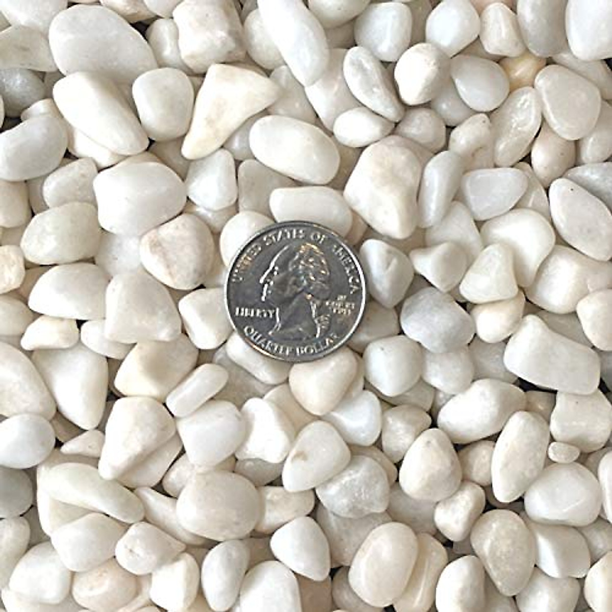 Midwest Hearth Natural Decorative Polished White Pebbles 3/8" Gravel Size (2-lb Bag)