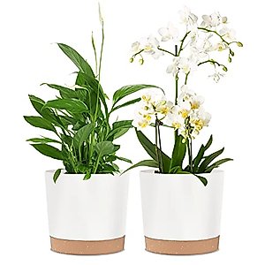kubvici Planters for Indoor Plants, 8 Inch Plant Pots 2 Pack Flower Pots with Drainage and Saucer for Indoor Outdoor Plants, Plastic Indoor Planter Garden Pot White 8”