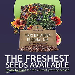 Texas Oklahoma Wildflower Seeds Mixture - Bulk 1 Ounce Packet - Over 15,000 Native Seeds - Open Pollinated and Non GMO