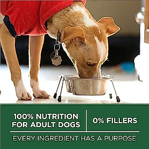 Purina ONE Plus Small Breed Lamb and Rice Formula Dry Dog Food - 15 lb. Bag