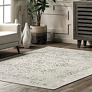 NuLOOM Odell Faded Vintage Area Rug, 8' x 10', Ivory