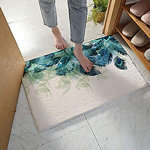 Door mat Soft Doormat Teal Turquoise Peacock Feather,Non Slip Bath Rug Absorbent Mat Rustic Art Printed Floral Shadow,Washable Door Mats Microfiber Runner Carpet for Kitchen,Bathroom,Laundry 18x30in