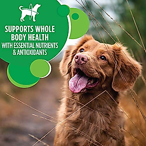 IAMS Adult Minichunks Small Kibble High Protein Dry Dog Food with Real Chicken, 38.5 lb. Bag