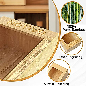 ANLIZY Ziplock Bag Storage Organizer - Plastic Bag Organizer for Kitchen Drawer, Bamboo Baggie Organizer for Gallon, Quart, Sandwich, Snack, Compatible with Ziploc, Glad, Solimo, 365 by WFM, Hefty