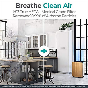 Alen FIT50 HEPA Air Purifier - Medical Grade Filtration H13 True HEPA for 900 SqFt - 99.9% Airborne Particle Removal- Allergens, Dust, Mold, Germs - Oak