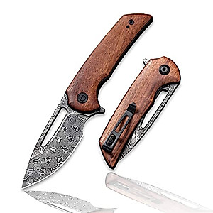 CIVIVI Odium Damascus Blade Bundled Button Lock Cogent, Great EDC Knife Companion