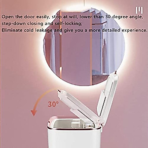 REKIRO Mini Fridge Portable Thermoelectric 9 Liter Cooler and Warmer for Skincare, Eco Friendly Beauty Fridge for Foods,Medications, Cosmetics, Breast Milk, Medications Home and Travel