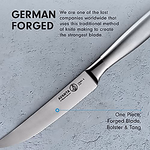 Messermeister Avanta 5” Fine Edge Steak Knife Set - German X50 Stainless Steel - Rust Resistant & Easy to Maintain - Includes 4 Steak Knives