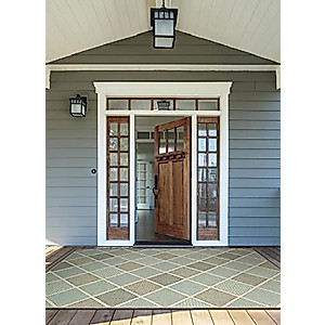 Couristan 2470/2007 Monaco Meridian Area Rugs, 2-Feet by 3-Feet 7-Inch, Multi