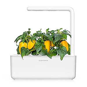 Click and Grow Smart Garden Yellow Sweet Pepper Plant Pods, 3-Pack