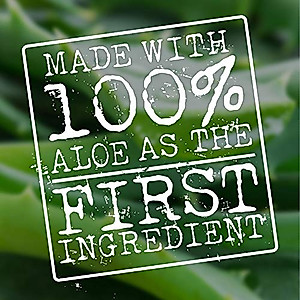 Maui Moisture Fortifying + Hemp Seed Oil Hydrating Vegan Shampoo for Dry Hair SiliconeFree SulfateFree Surfactant Aloe Shampoo to Strengthen Weak or Brittle Hair, 13 Fl Oz