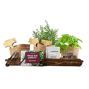 naukua Vintage Indoor Herb Garden Starter Kit (Thyme, Basil, Parsley and Coriander) - 100% Certified USDA Organic Non-GMO Seeds - Unique Gift Idea!