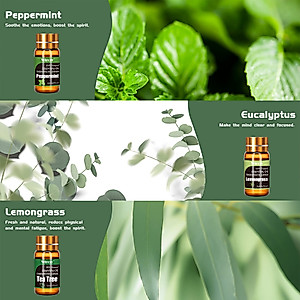 Wtrcsv Essential Oils Set- 6 Aromatherapy Oils -Perfect for Diffuser, Humidifier,Aromatherapy, Candle Making, Massage-Peppermint, Tea Tree, Lavender, Eucalyptus, Lemongrass, Sweet Orange（5ml）