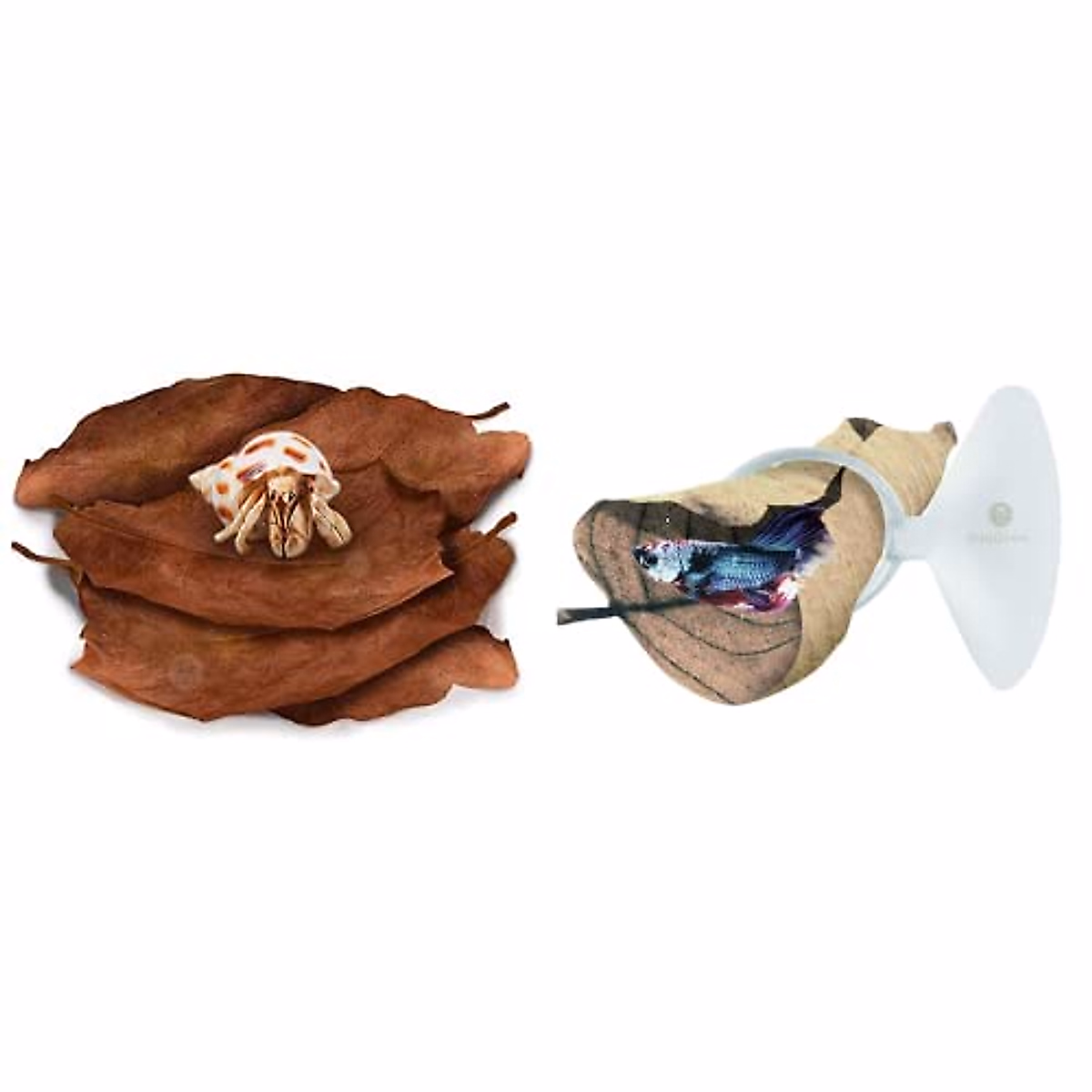 SunGrow Saver Bundle Pack - Catappa Leaves 10Pcs/Pack + Large Leaf Hammock