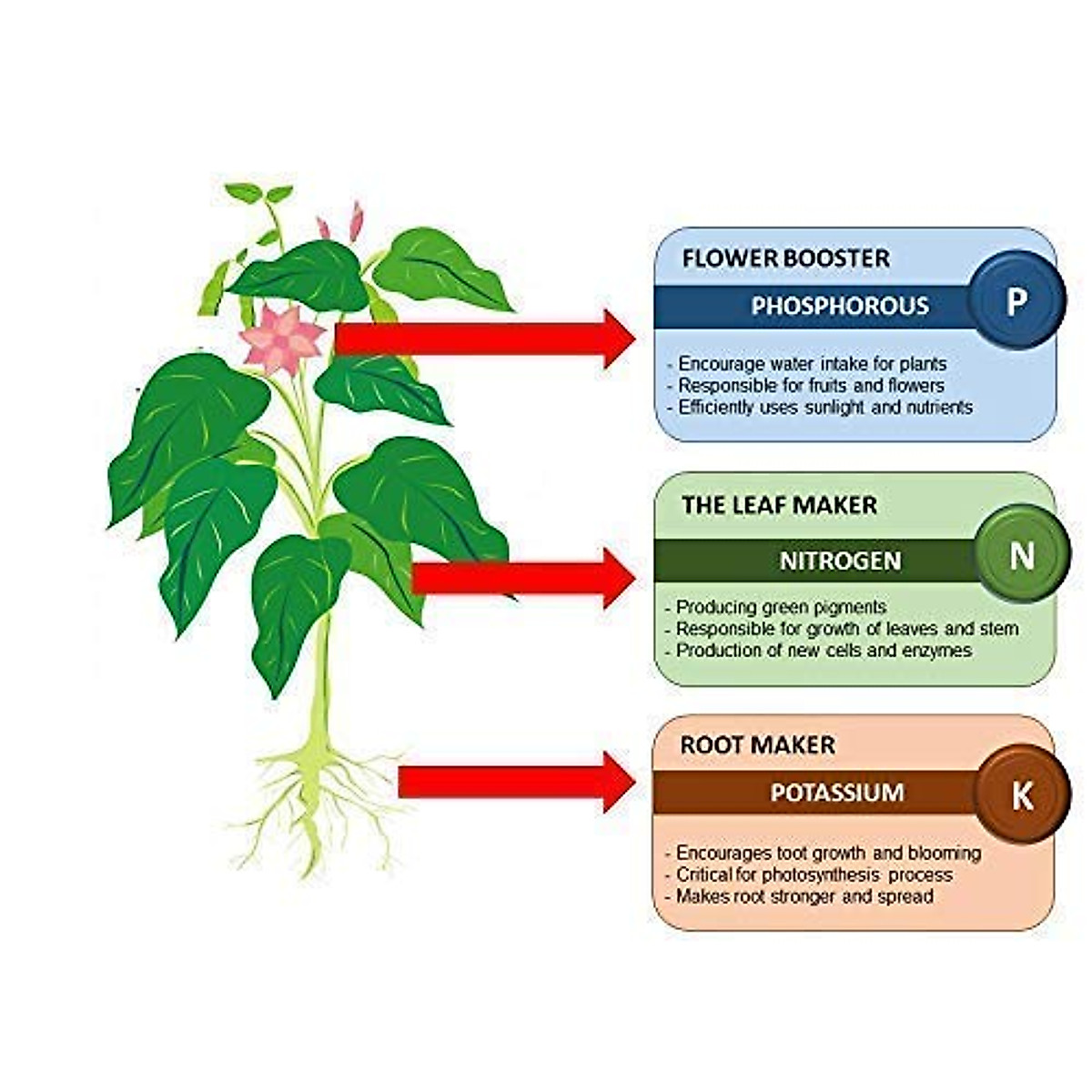 Horizen Bum Bum Bhole Organic Mustard Oil Cake Powder Fertilizer Manure for Plants Growth & Plant Nutrient (900 Gm)