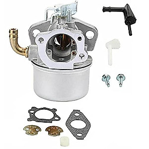 Owigift Carburetor Carb For Coleman Powermate 2000 2500 3200 3750 Watt generator PM0543250.01 PM0543000.17 PM0543000.01, Coleman 3250 Troy Bilt 3550W With Briggs Stratton 6.0hp OVH 6.75hp Part 215369