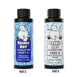 Bearly Art Cyanotype Kit - Sun - Solar Print Set for Photographic Printing on Paper and Fabric - 2 Part Sensitizer - Archival - Creates 32 8"x10" Prints on Paper and 25 on Fabric