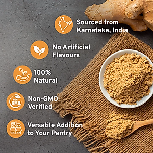 SPICE TRAIN, Ginger Powder (14oz/397g) No Additives, No Preservatives, No Fillers | Ginger Root Powder from India | Raw, Gluten Free, Non GMO | Perfect for Cooking, Baking | Resealable Zip Lock Pouch