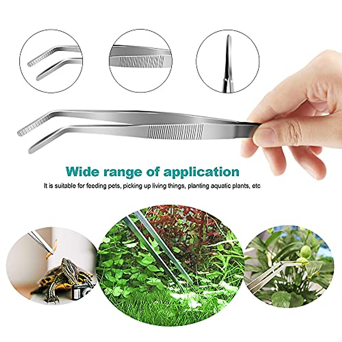 Reptile Feeding Bowl, 4pcs Leaf Reptile Water Food Feeder Bowl Worm Dish, Reptile Feeding Tongs Long Tweezers Cricket Clamp Bug Scooper Feeder Tool for Tortoise Snake Lizard Gecko Bearded Dragon