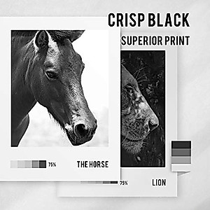 BENETONER 212XL Remanufactured Ink Cartridge Replacement for Epson 212 212XL Combo Pack Work with Expression Home XP-4100 XP-4105 Workforce WF-2850 WF-2830 (Black, 2-Pack)