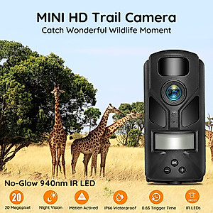 OUTDOOR EXPERT 20MP Mini Trail Camera,1080P Hunting Trail Camera with No Glow 940nm Night Vision Motion Activated IP66 Waterproof,80ft Illumination Range Hunting Game Cam for Wildlife Monitoring