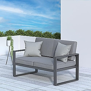 May in Color Aluminum Outdoor Loveseat, Modern Metal Patio Furniture Contemporary 2-Seat Sofa Chair with Cushion, Gery