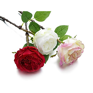 Final Sale-Extra-Realistic & Large Artificial Silk Garden Rose Flowers | Faux Peony Stems | Set of 4 | Red